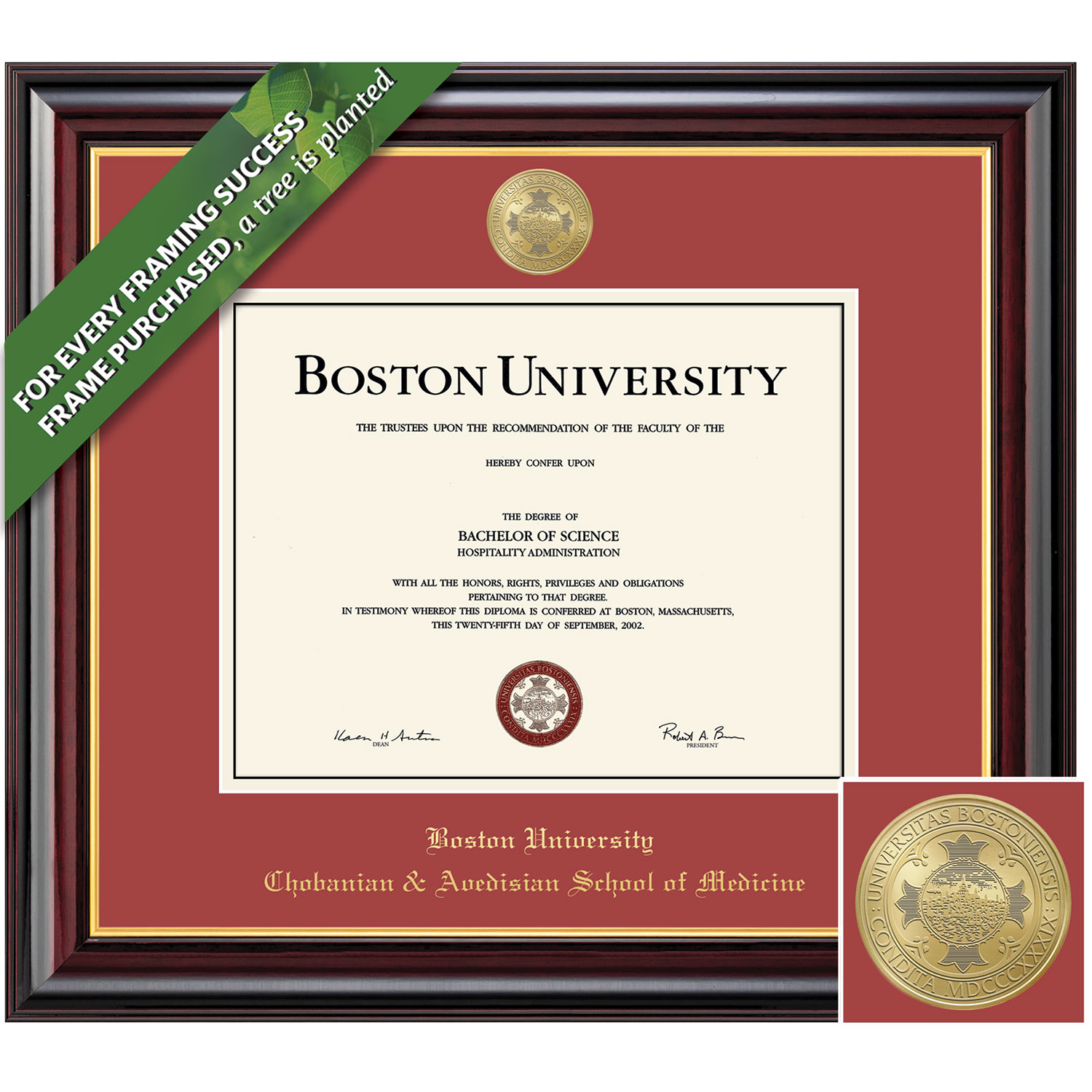 Framing Success 16 x 20 Windsor Gold Medallion Medical Diploma Frame ...